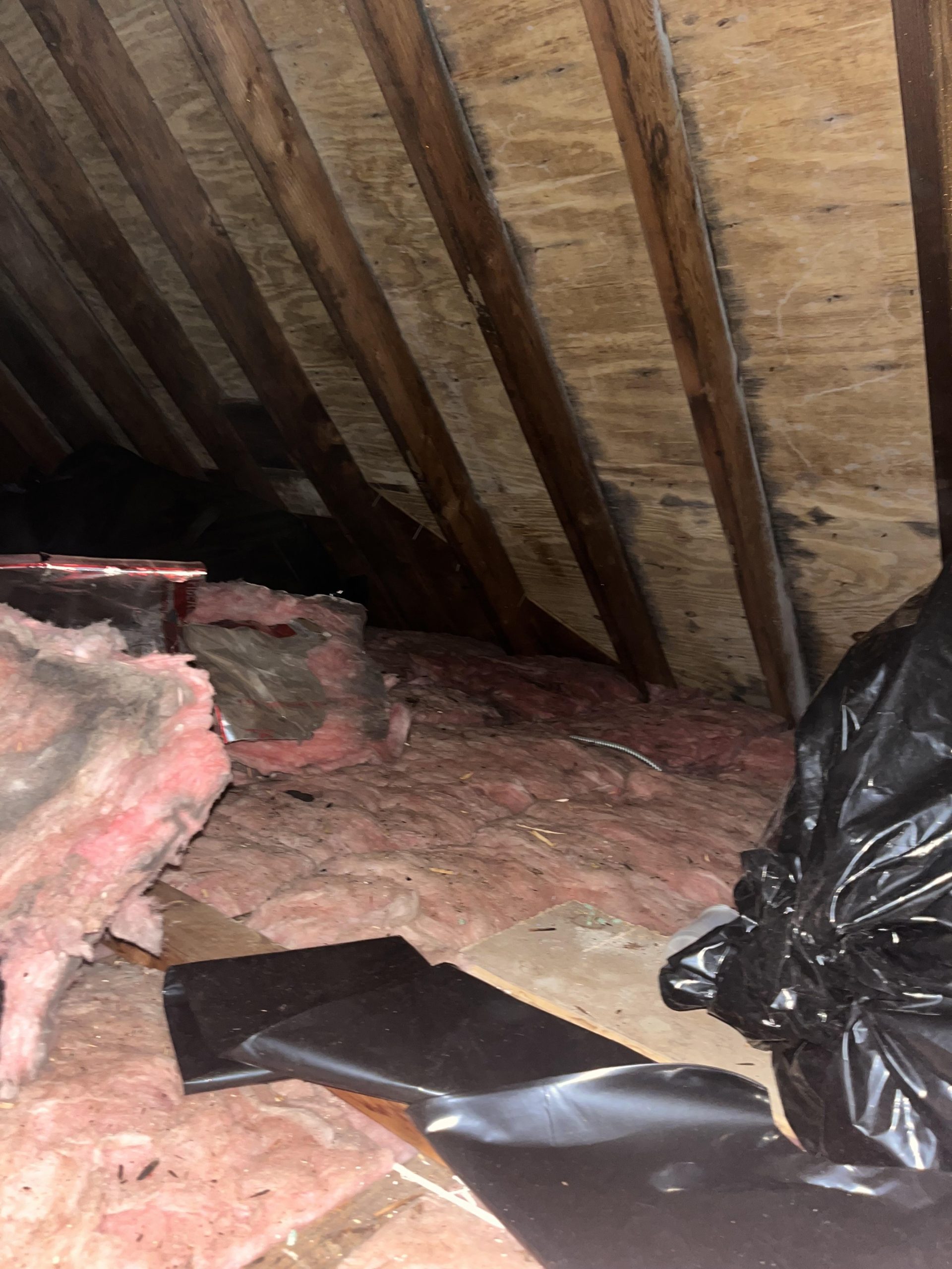 Roof Leak Attic Mold Remediation Bridgewater - Video Review ...