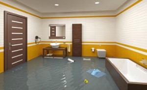 Water Damage from Sink, Toilet, and Bathtub Overflow | Flooding ...